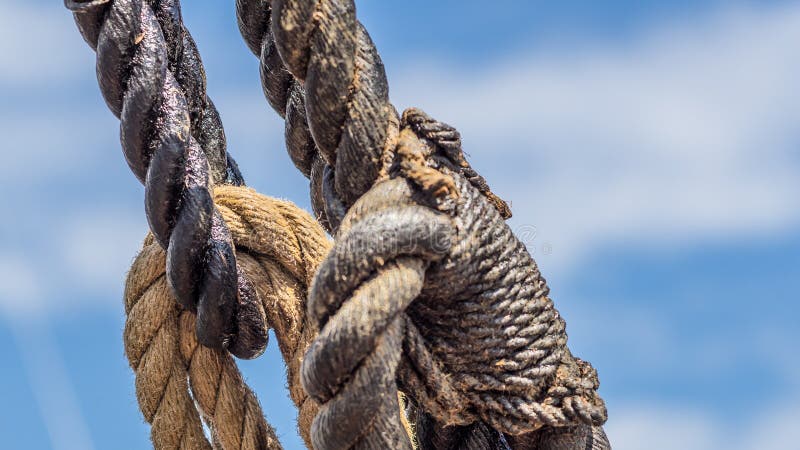 Tarred Hemp Rope Knot from a Viking Ship Stock Image - Image of ...