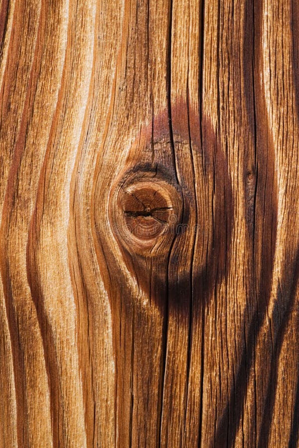 Tarry wooden texture stock image. Image of knot, backgrounds - 5737509