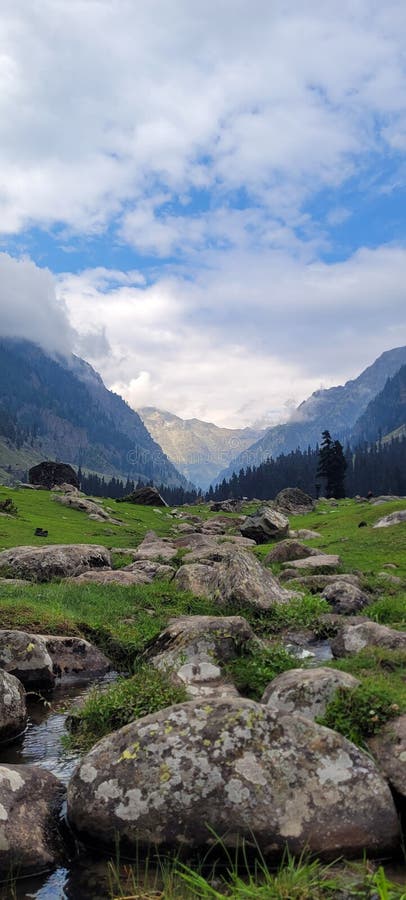 Tarsar Marsar Trek stock image. Image of walking, sheep - 260886771