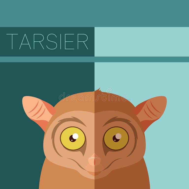 Tarsier Skull Stock Illustrations – 1,055 Tarsier Skull Stock ...