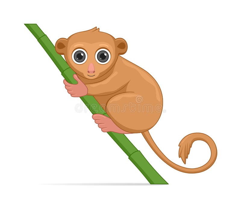 Tarsier Monkey Stock Illustrations – 334 Tarsier Monkey Stock ...