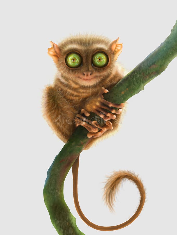 Tarsius Más Tarsier En Amor Ilustración del Vector - Ilustración de ...