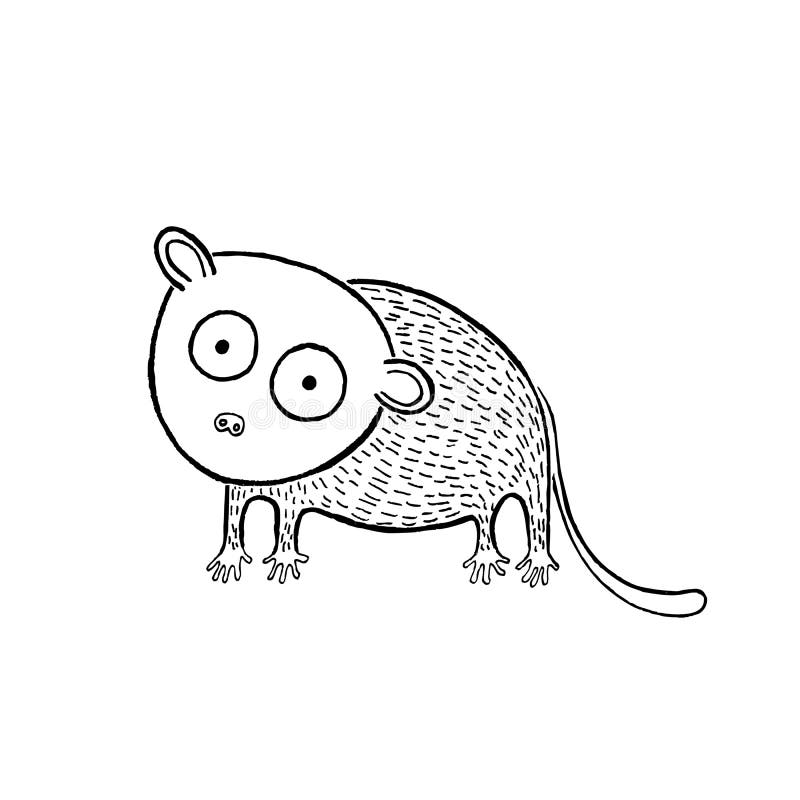 Tarsius Tarsier Sketch Hand Drawn Vector Illustration Stock Vector Illustration Of Character