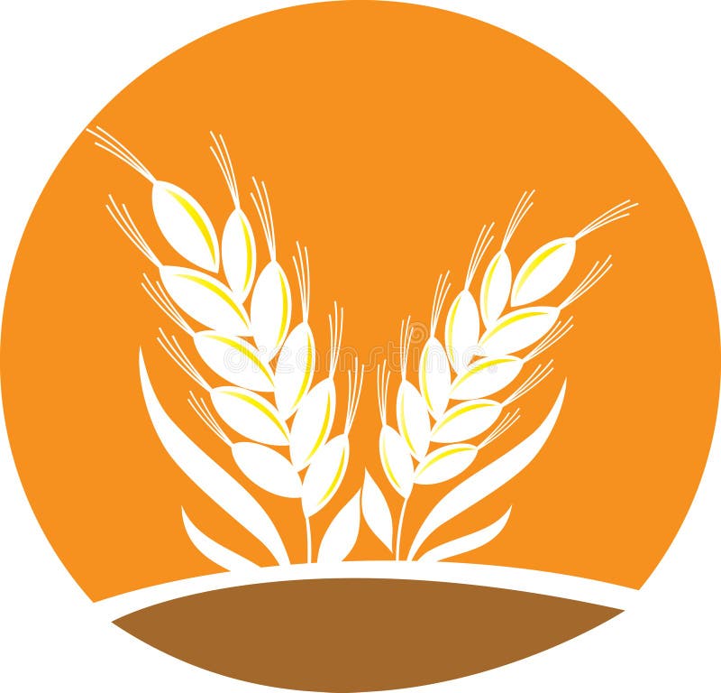 Tarwe vector illustratie. Illustration of vuurtoren, gebied - 79867253