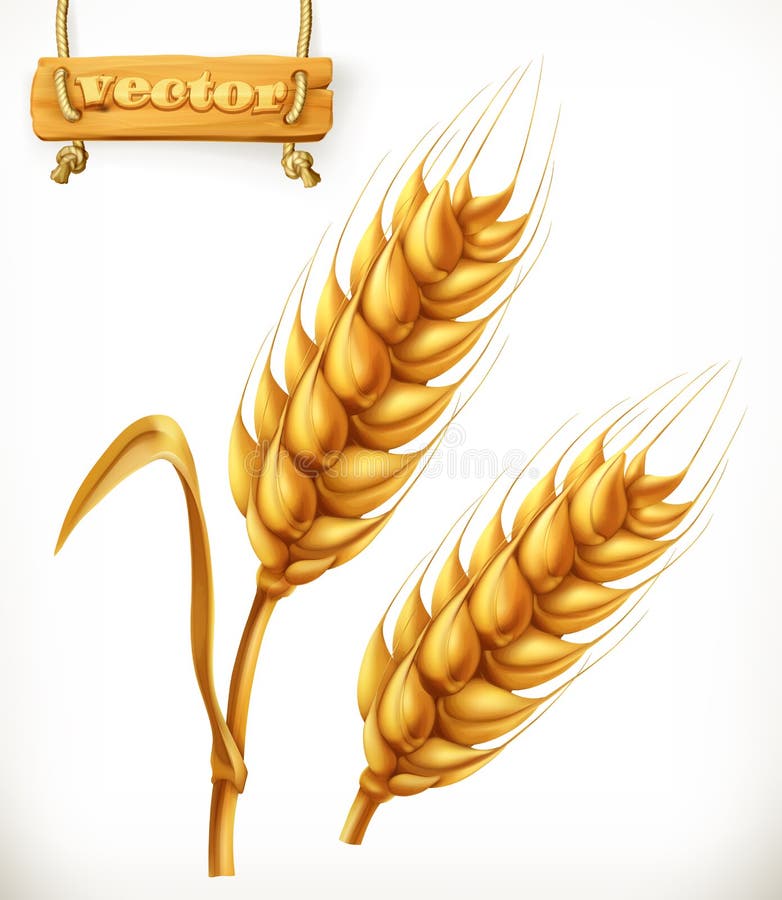 Tarwe Het Pictogram Van Toestellen Vector Illustratie - Illustration of ...