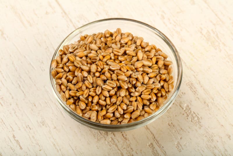 Tarwekorrels stock foto. Afbeelding bestaande uit tarwekorrels - 111927536