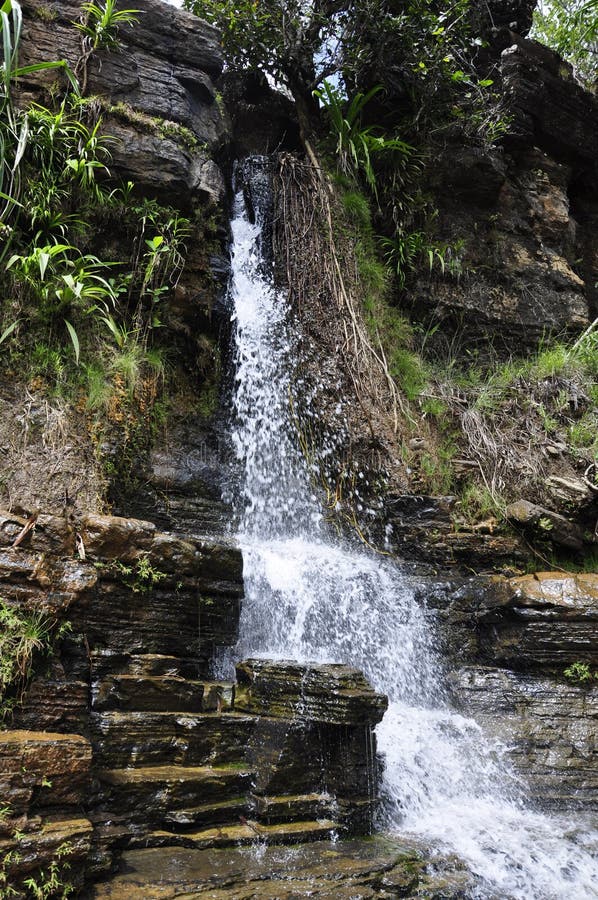 Tarzan Falls stock photo. Image of guam, adventure, hidden - 67798974