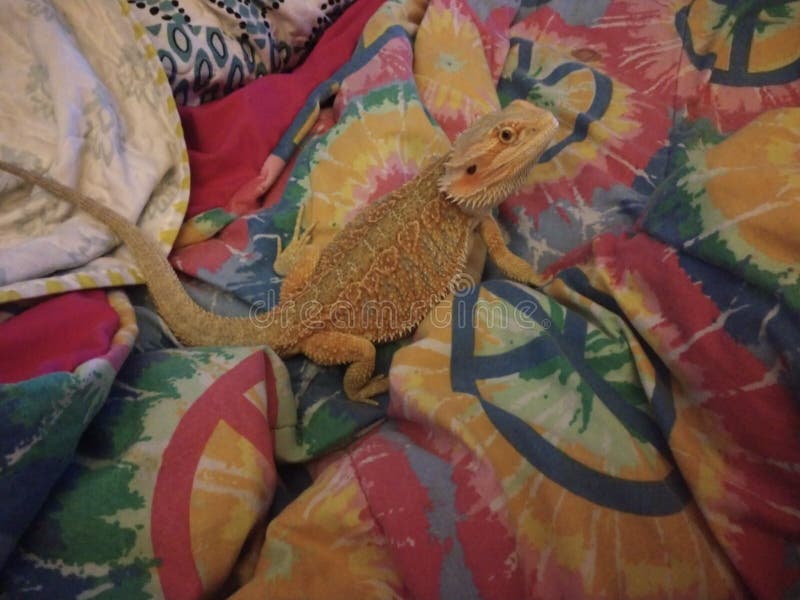 1,222 Tarzan Poses Stock Photos - Free & Royalty-Free Stock Photos from ...