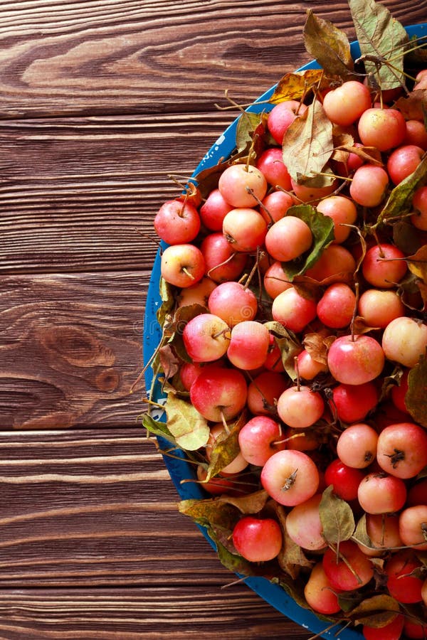Mini Pommes Rouges Et X28 ; Apple& X29 De Crabe ; Photo stock - Image ...