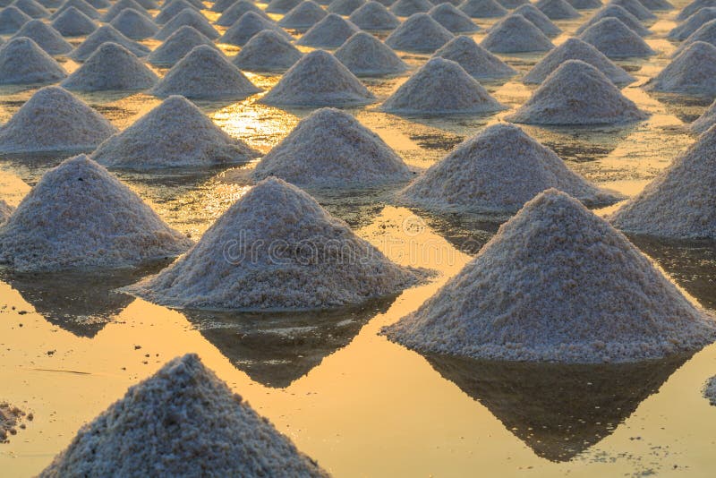 Tas de sel de mer photo stock. Image du usine, nature - 38275050