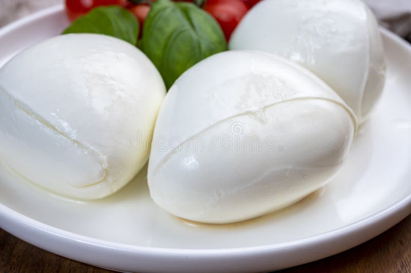 Tasing of Fresh Italian Cheese Mozzarella Di Buffalo Stock Image ...