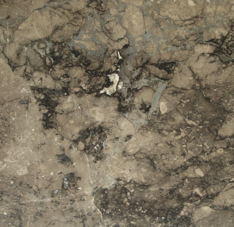 Taskmgr Stone Marble Varieties Natural Plate Texture Mapping Stock ...