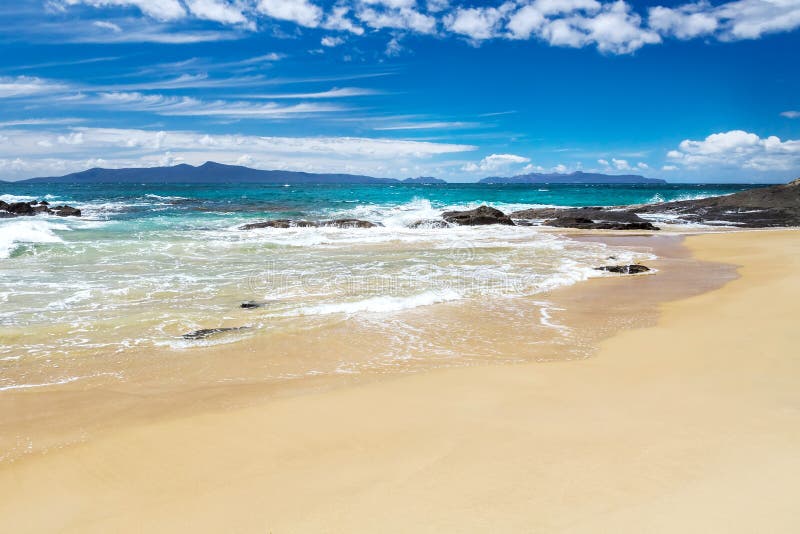 Tasmania stock photo. Image of national, idyllic, summer - 38428538