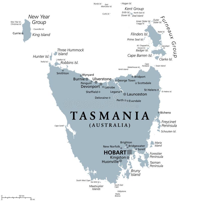 Tasmania, Island State of Australia, Gray Political Map Stock Vector ...