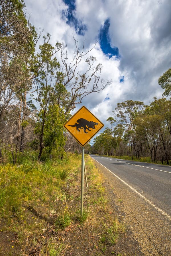 Tasmanian road signs stock photo. Image of road, kangaroo - 49619388