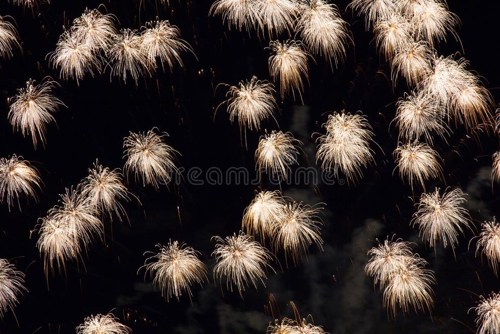 Tassels in the Night Sky stock image. Image of glow, exposure - 96544789