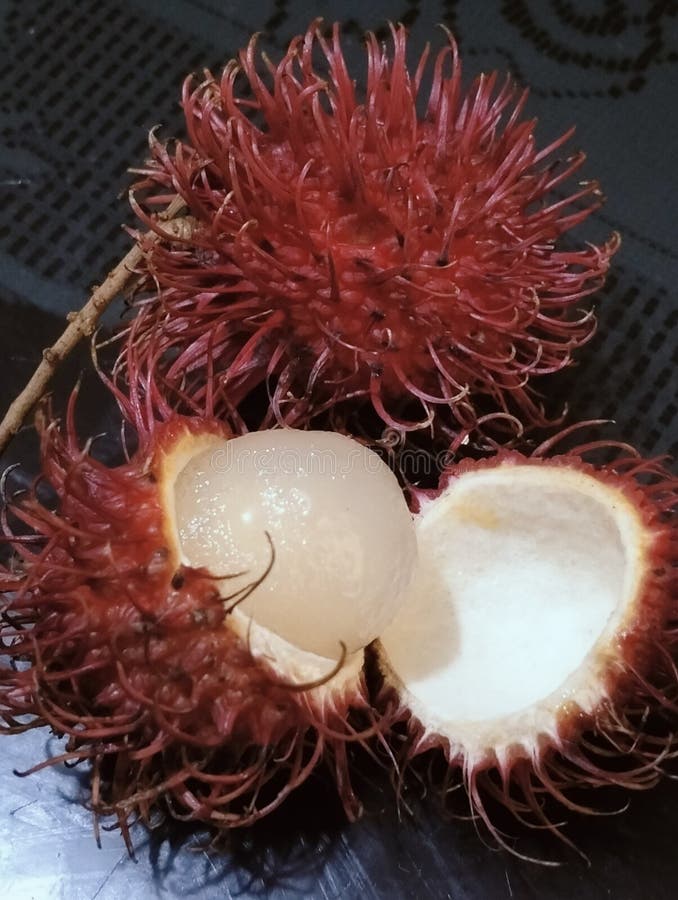 The Taste is Delicious, Soft and Thick, the Fruit Grows and Bears Fruit ...