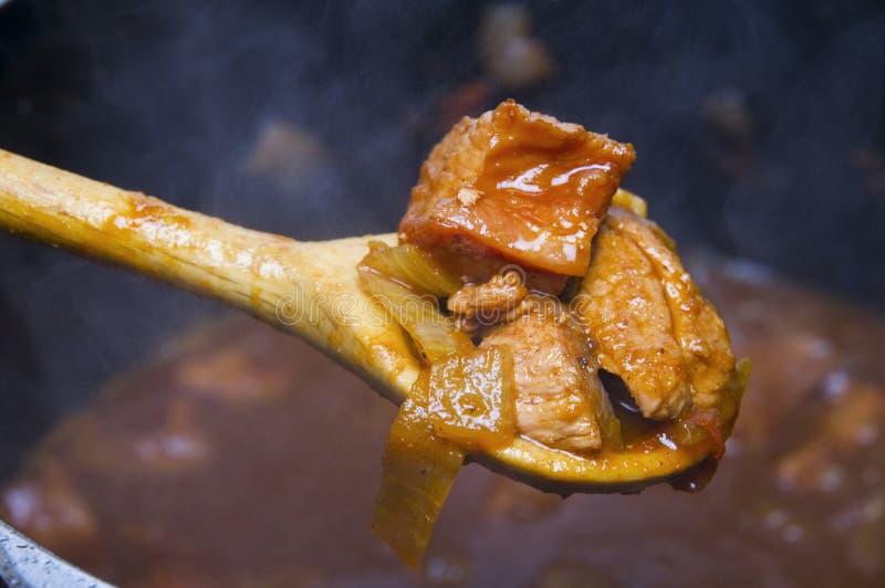 Taste of meat stock image. Image of brown, taste, finished - 28740957