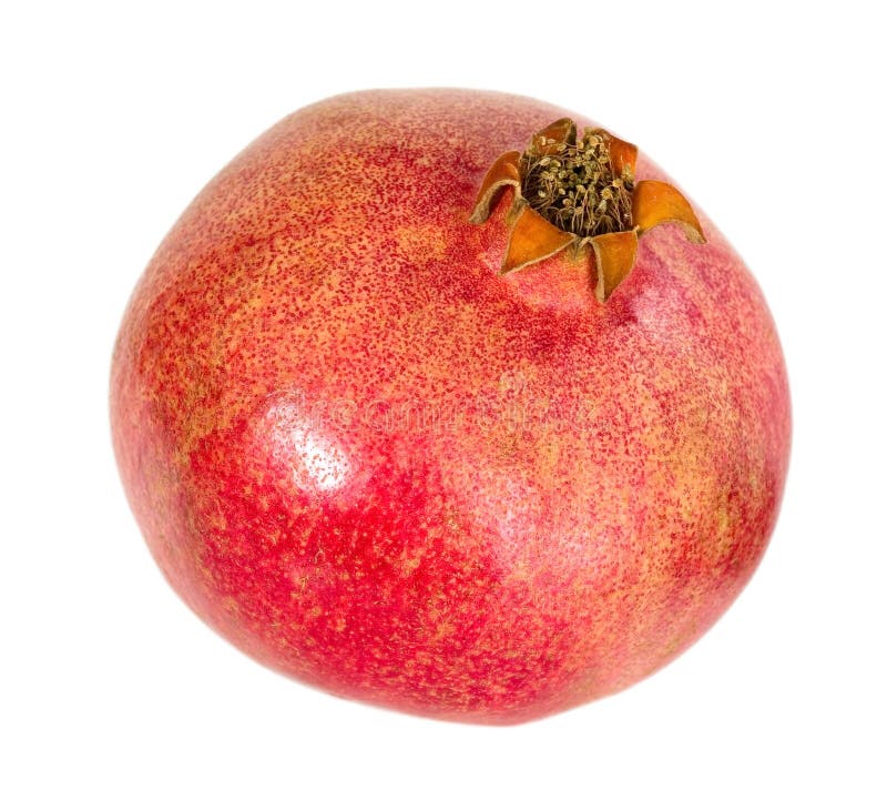 Tasteful fruit garnet stock photo. Image of macro, tropical - 35193344