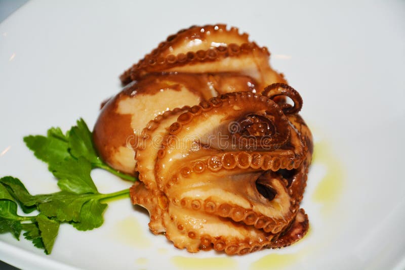 Fresh Octopus Food on White Plate, Close Up Stock Photo - Image of ...