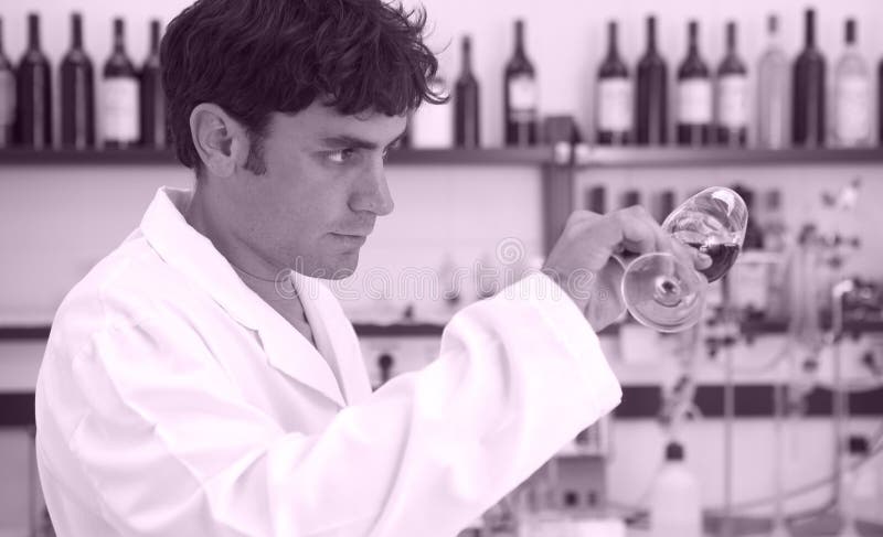 Taster stock image. Image of tasting, bouquet, standing - 31241335