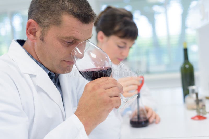 Tasters Professional Working into Cellar Laboratory Stock Photo - Image ...