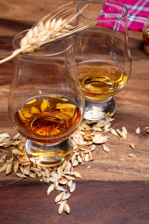 Tasting of Different Scotch Whiskies Strong Alcoholic Drinks, Drum of ...
