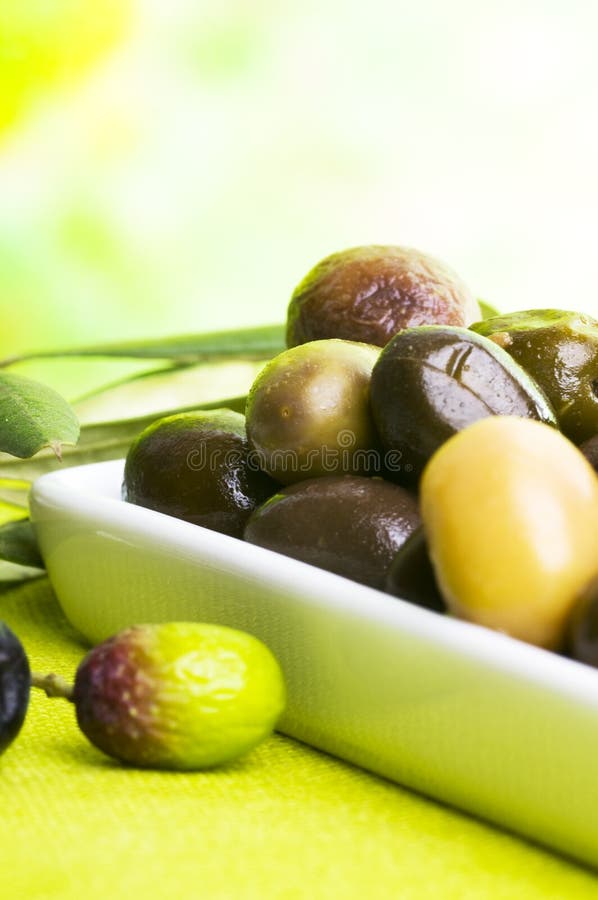 Tasting olive stock image. Image of aroma, branch, plant - 22564157