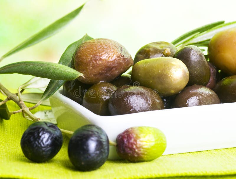 Tasting olive stock photo. Image of green, mediterranean - 22564170