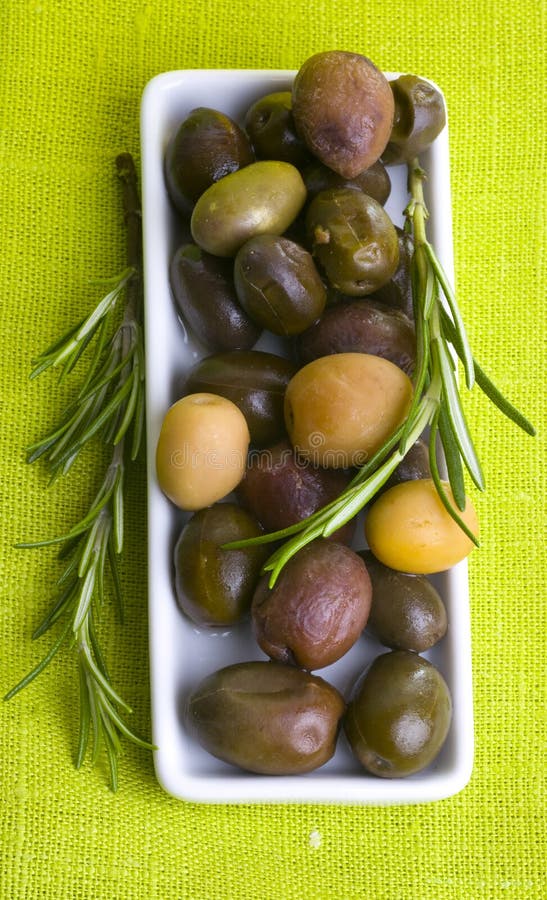 Tasting olive stock photo. Image of branch, plant, healthy - 22564558
