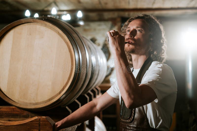 Tasting Red Wine for Quality in Cellar Stock Image - Image of expertise ...