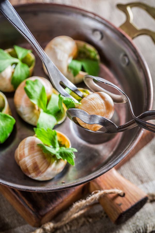 Tasting roasted snails stock image. Image of cuisine - 52796231