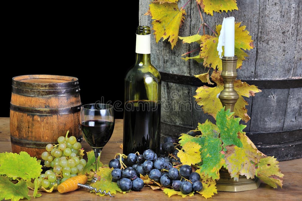 Tasting wine five stock image. Image of alcohol, drink - 22786681