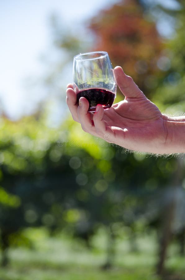 Tasting wine stock image. Image of glass, redwine, autumn - 36452843
