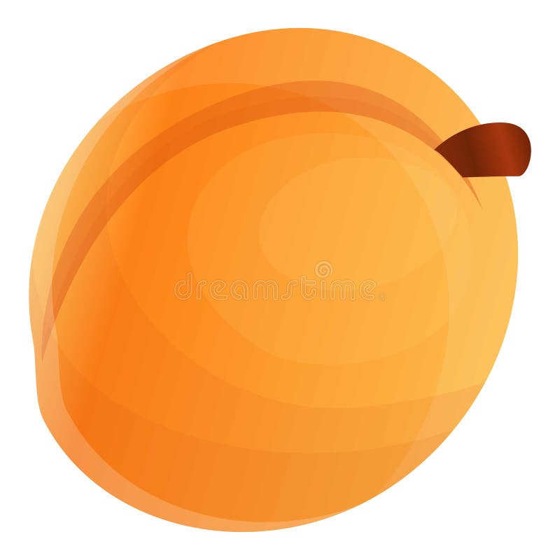 Tasty Apricot Icon, Cartoon Style Stock Vector - Illustration of ...