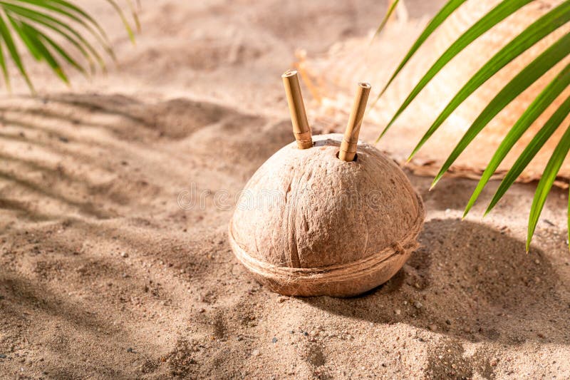 Tasty and Aromatic Coconut Milk in Shell Served on Beach Stock Photo ...