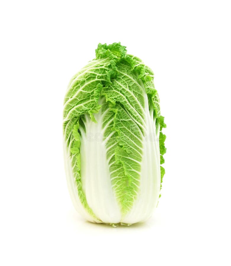 Tasty asian cabbage stock photo. Image of green, head - 29962610