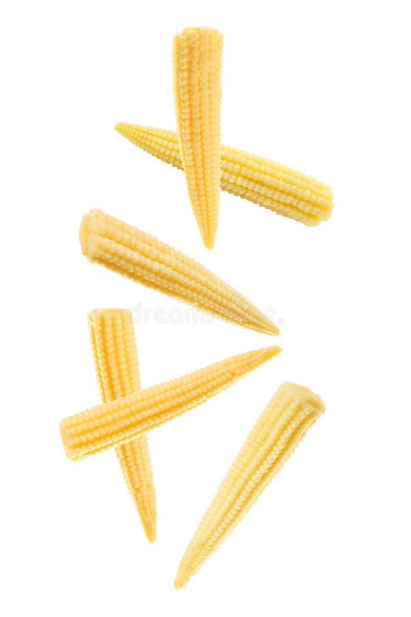 Tasty Baby Corn Cobs Flying on White Background Stock Image - Image of ...