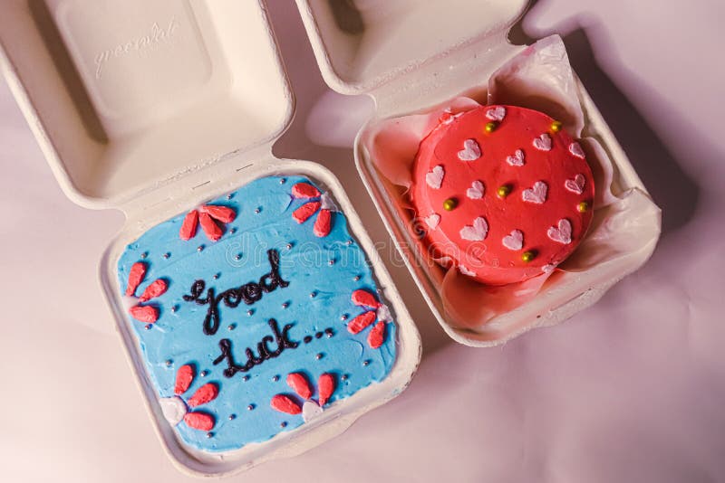 Bento cakes in a bento box editorial photography. Image of container ...