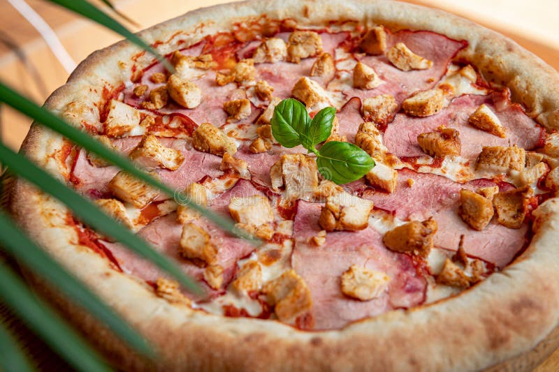 Tasty and Big Pizza with Different Types of Meat Stock Photo - Image of ...