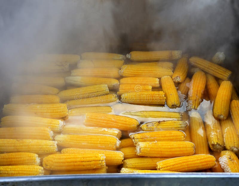 Tasty boiled corn stock image. Image of crop, freshness - 62613705