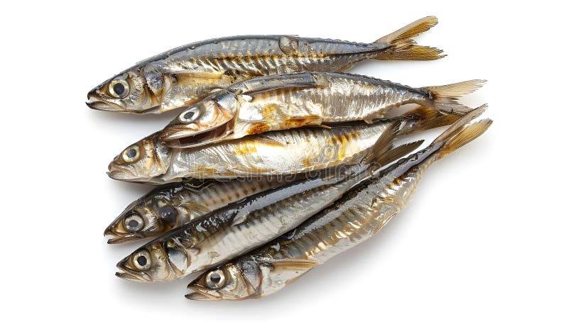 Tasty Canned Sprats Isolated on White, Top View Stock Photo - Image of ...