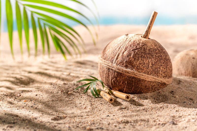 Tasty Coconut Milk in Shell on a Tropical Beach Stock Photo - Image of ...