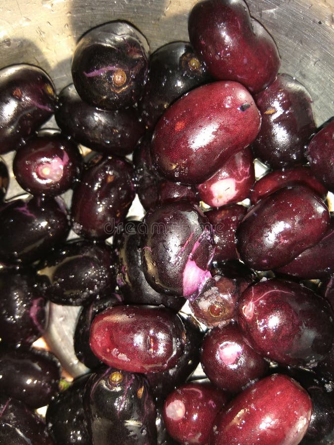 Tasty Collection of Indian Blackberry Jamun Stock Image - Image of ...