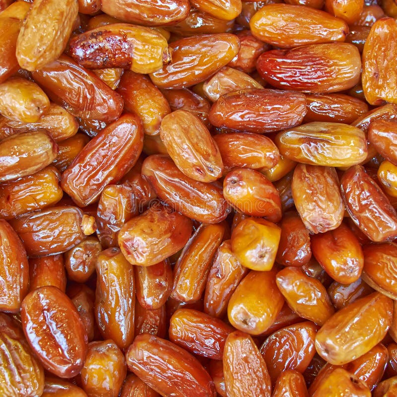 Dates stock photo. Image of desert, picking, cultivation - 19341658