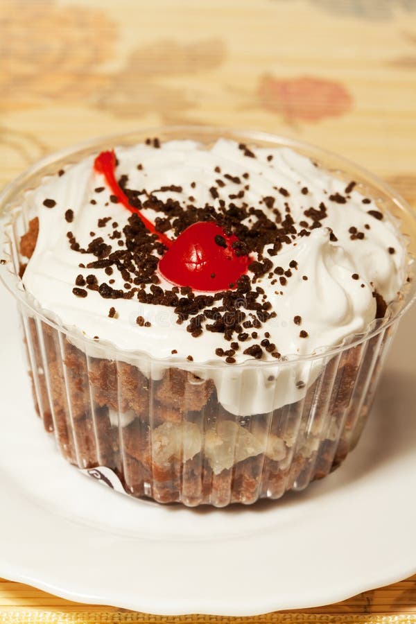Tasty dessert with cream stock photo. Image of cake, food - 23040452