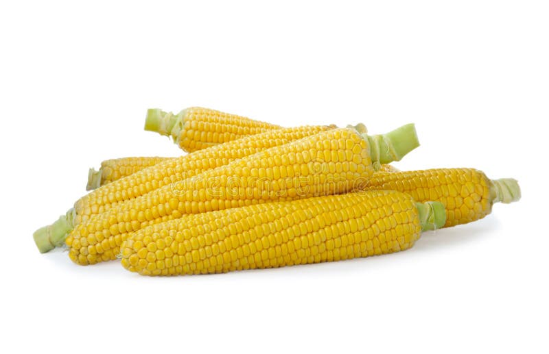 Tasty Fresh Corn Cobs Isolated on White Stock Image - Image of ripe ...