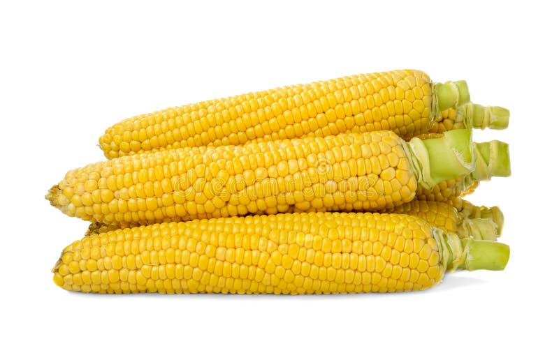 Tasty Fresh Corn Cobs Isolated on White Stock Photo - Image of ...