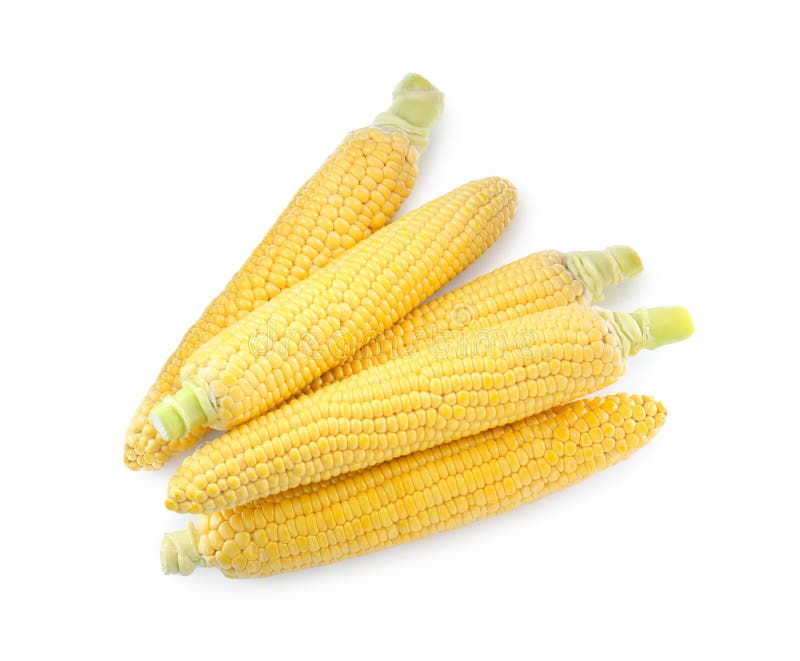 Tasty Fresh Corn Cobs Isolated on White, Top View Stock Photo - Image ...