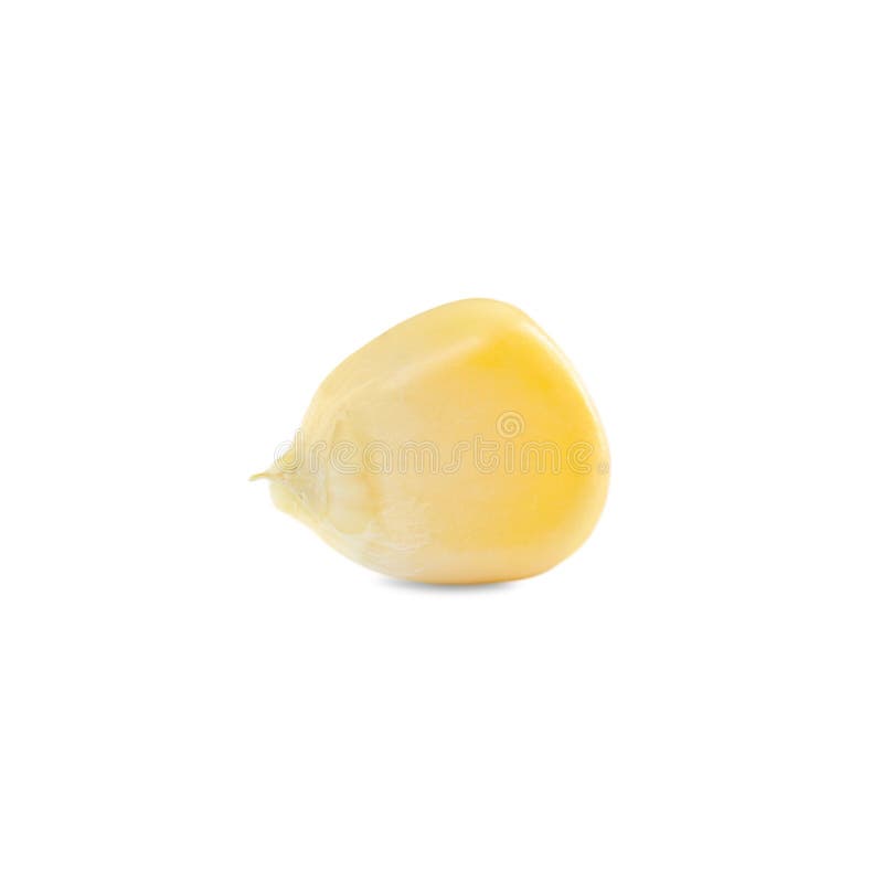 Tasty Fresh Corn Kernel Isolated Stock Photo - Image of nutrition ...